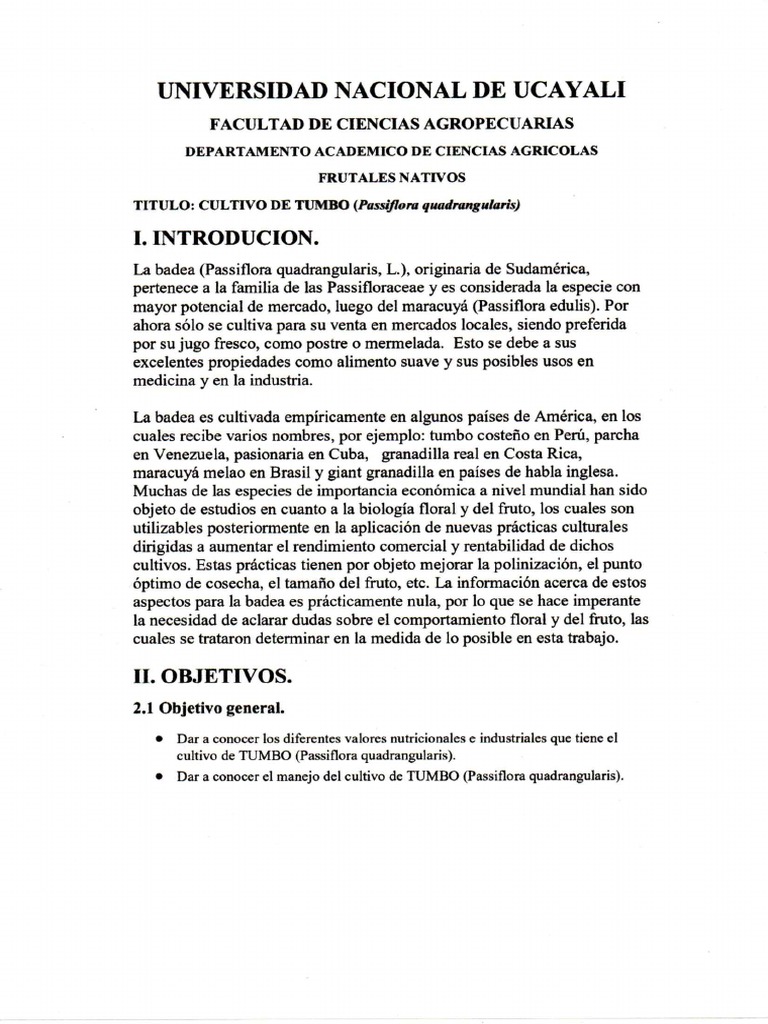 Tumbo | PDF | Botánica | Plantas