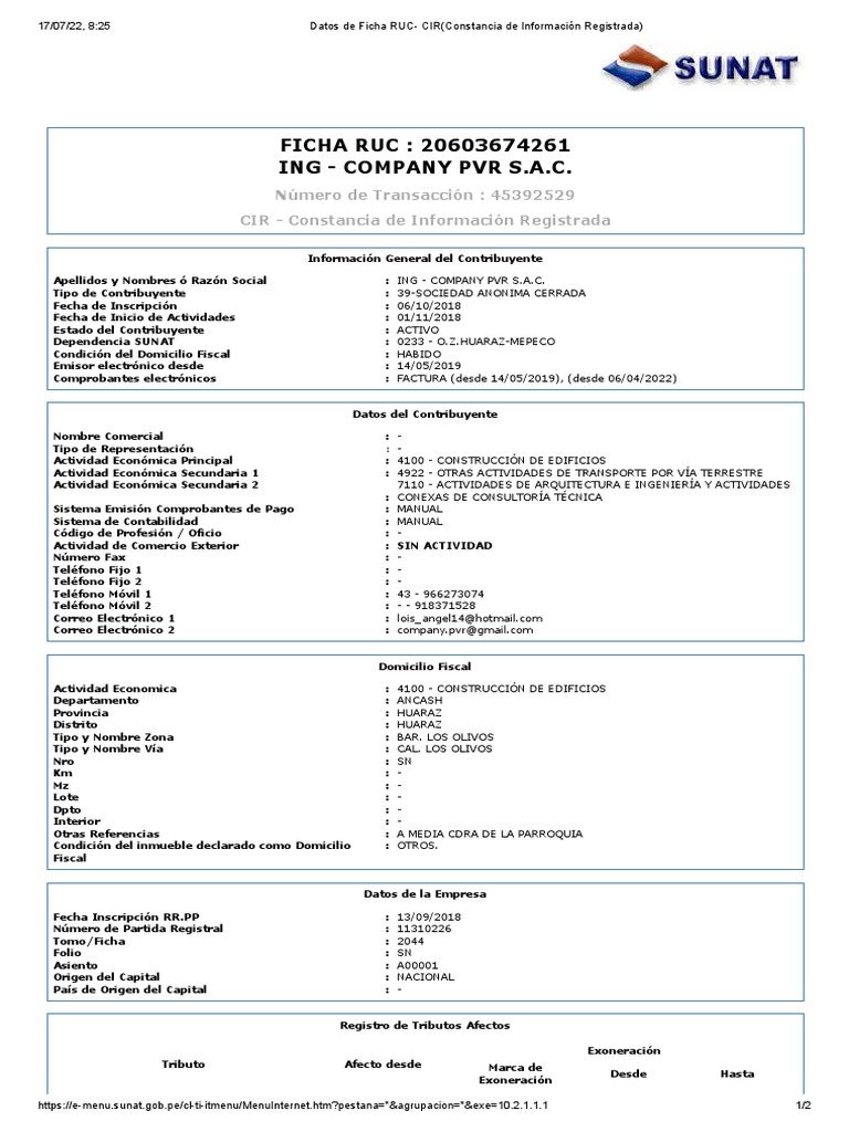 Ficha Ruc | PDF | Business | Economias