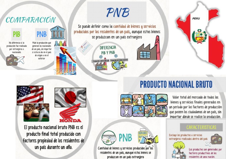 Infografia PNB | PDF