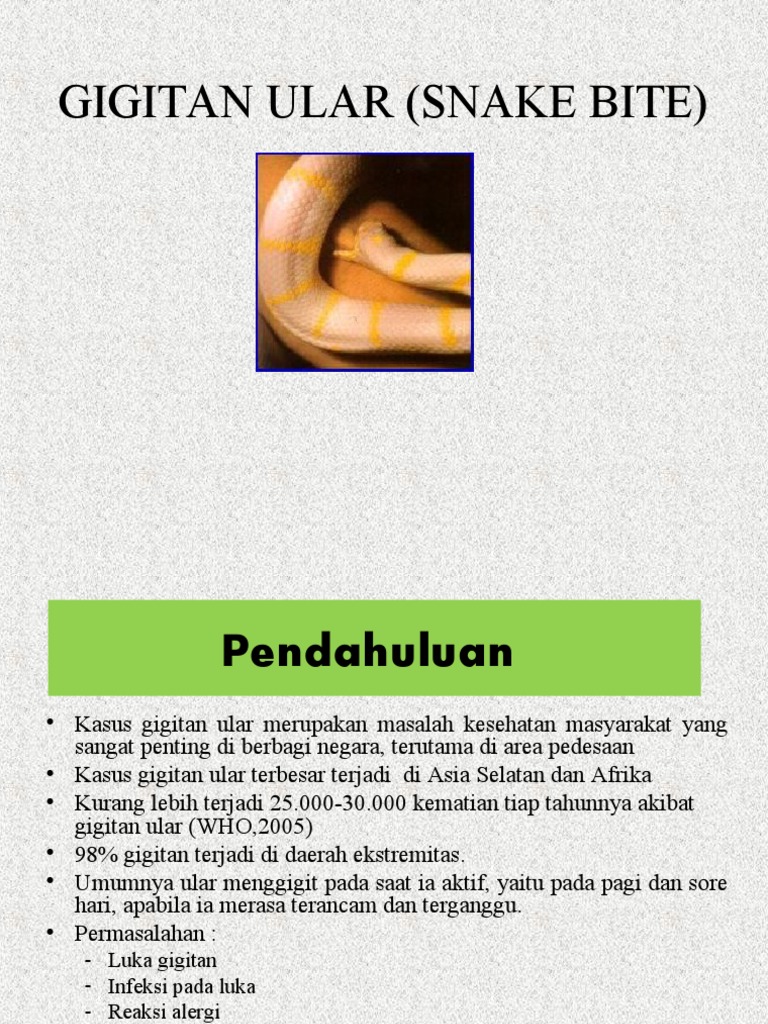 21 Gigitan Ular Snake Bite | PDF