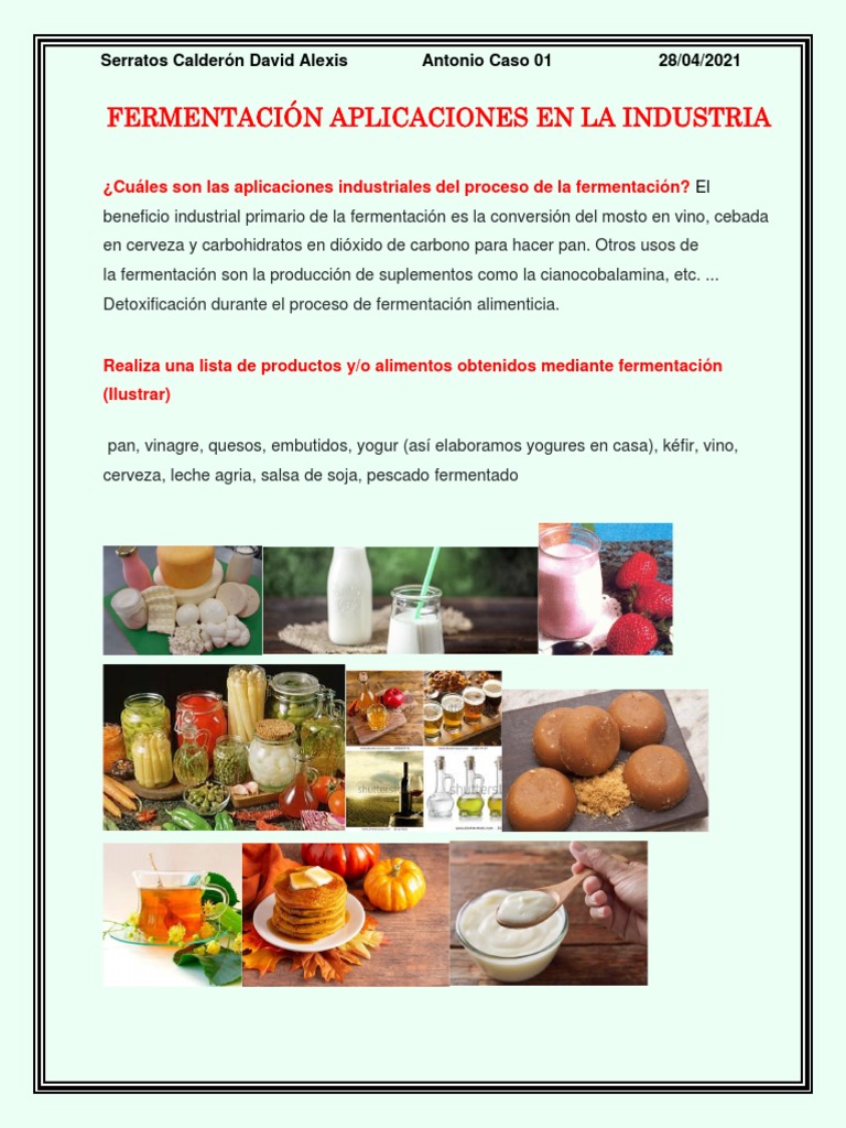 Fermentación Aplicaciones en La Industria - Scda | PDF | Fermentación ... Fermentación Aplicaciones en La Industria - Scda | PDF | Fermentación ...