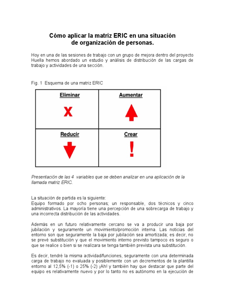 Como Aplicar La Matriz ERIC en Una Situacion-2 | PDF | Matriz (Matemáticas)