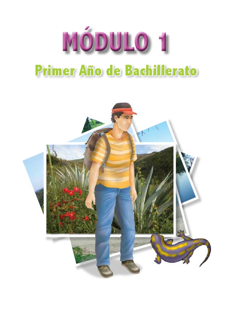Modulo 1 Primer Ano de Bachillerato Resuelto | PDF | Metro (poesía) | El Salvador