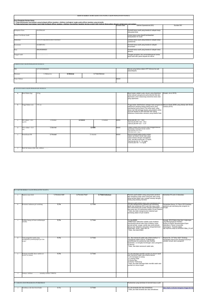 Kertas Kerja Audit | PDF