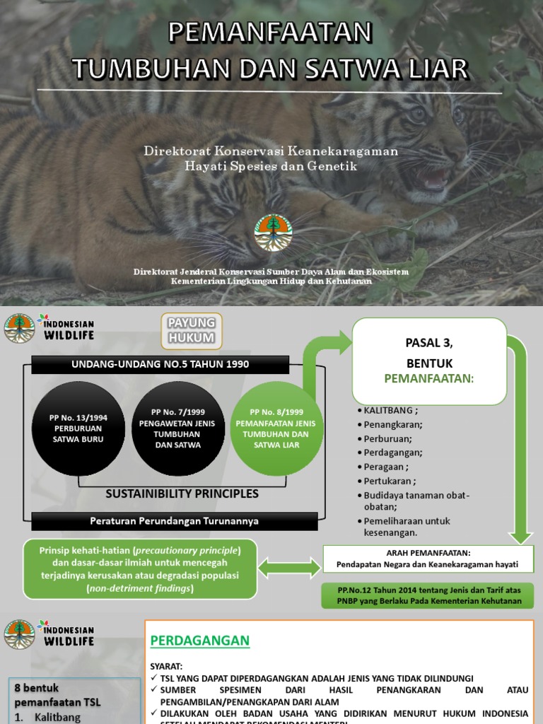 Regulasi Pemanfaatan TSL | PDF