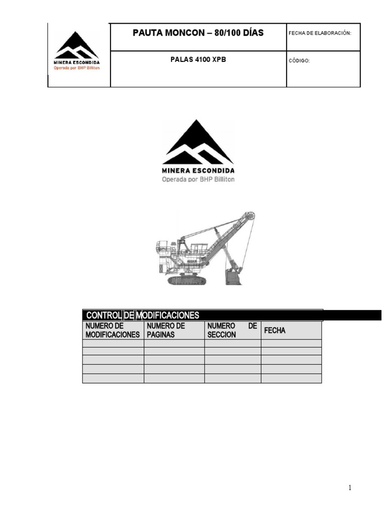 4100XPB Pauta Moncon 80-100 Días | PDF