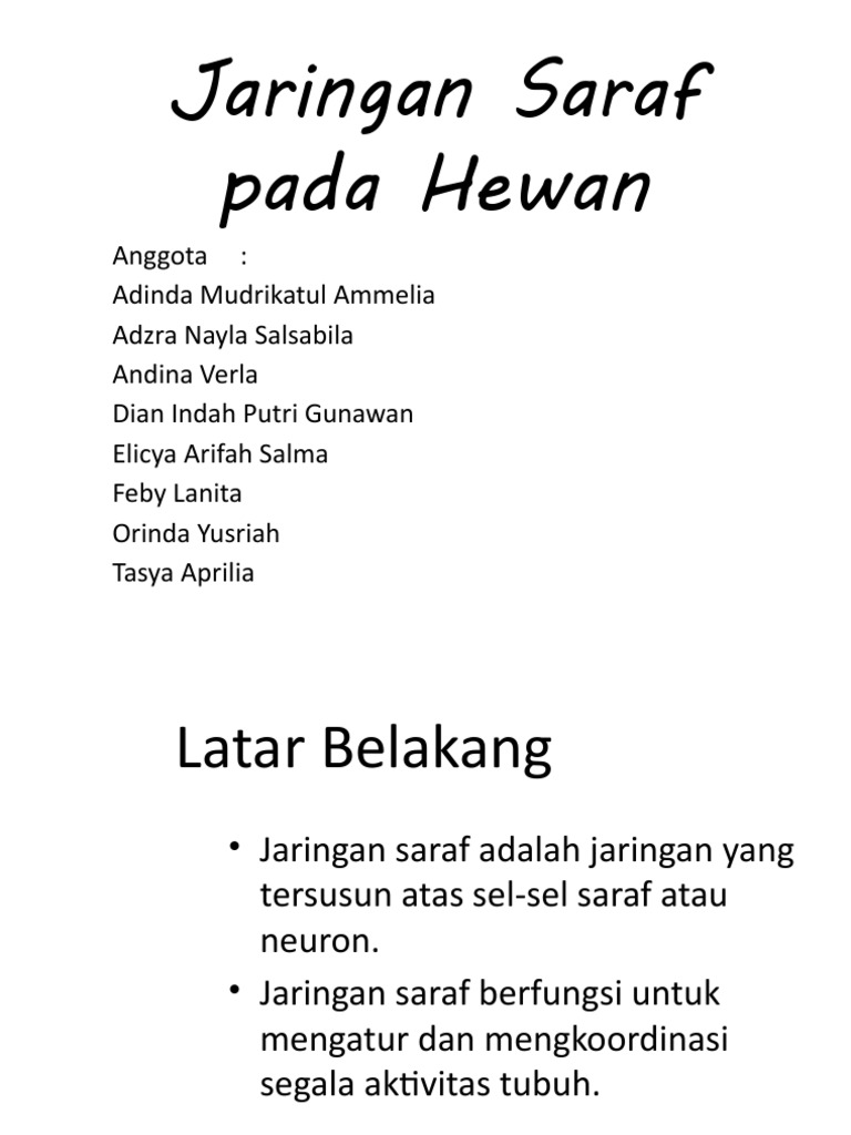 Jaringan Saraf Pada Hewan | PDF