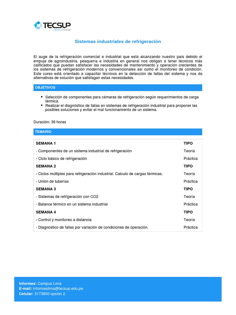 Temario (1) TECSUP | PDF