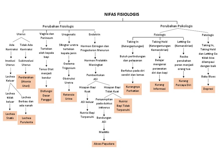 Pathway Nifas Fisiologis | PDF