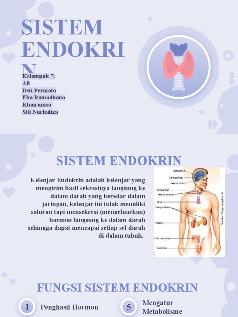Sistem Endokrin | PDF