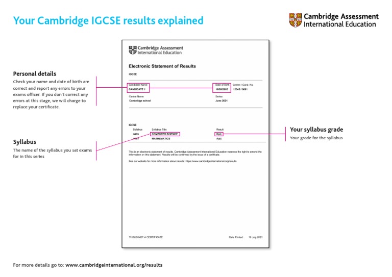 Statement of Results Explained | PDF