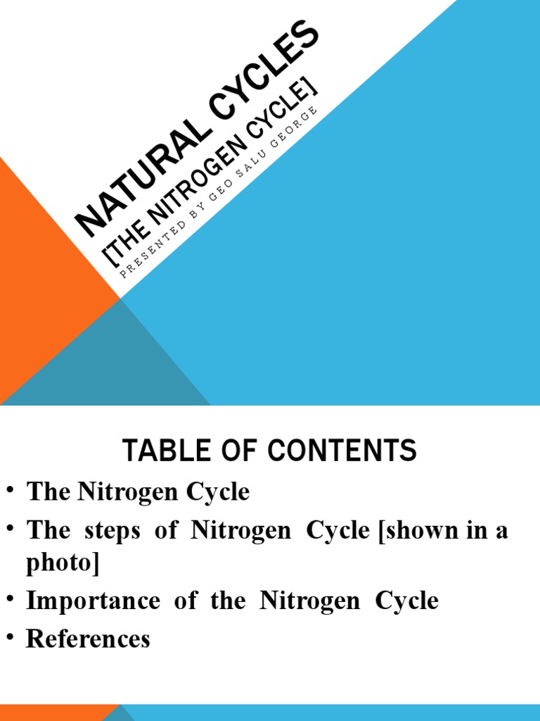 Understanding the Nitrogen Cycle | PDF