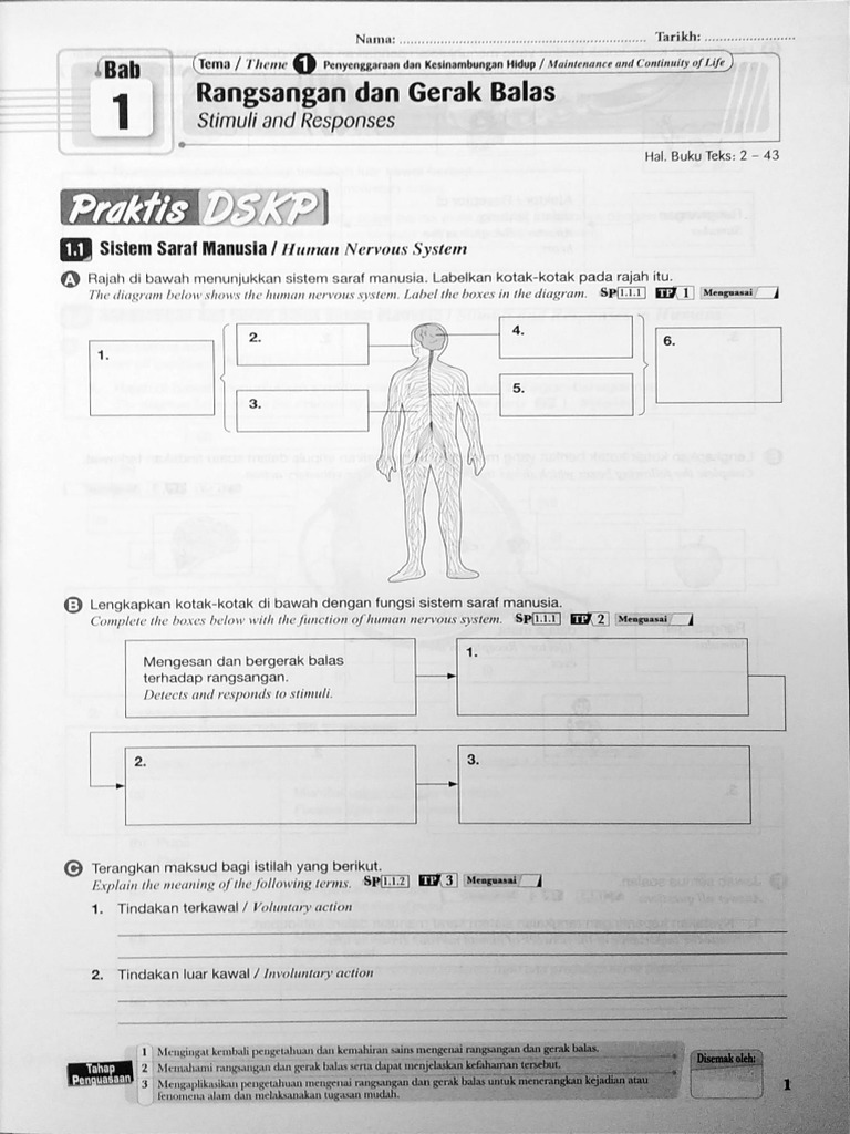 F3 SC Class Discussion Exercise | PDF
