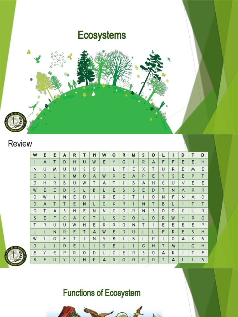 Lesson 5.2 Functions of Ecosystem | PDF | Food Web | Ecology