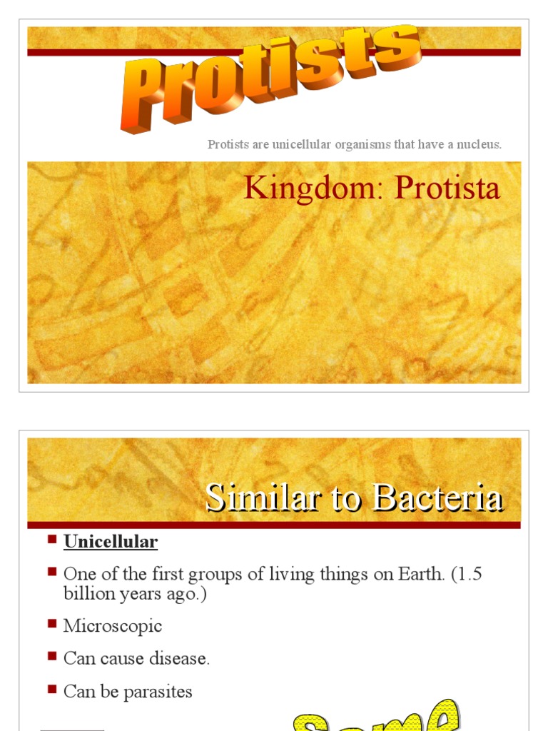 An In-Depth Look at the Diverse Kingdom of Protists | PDF | Protozoa ...