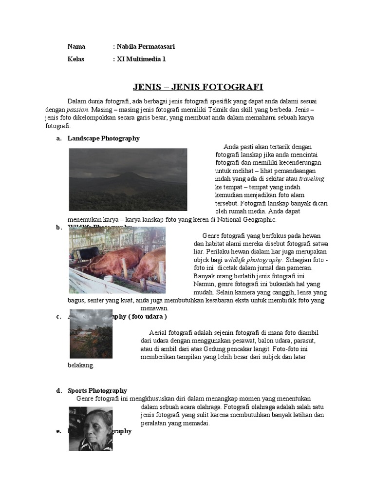 Jenis - Jenis Fotografi | PDF