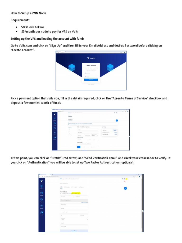 A Step-by-Step Guide to Setting Up a Zenon Network Node on Vultr VPS and Configuring it in the ...