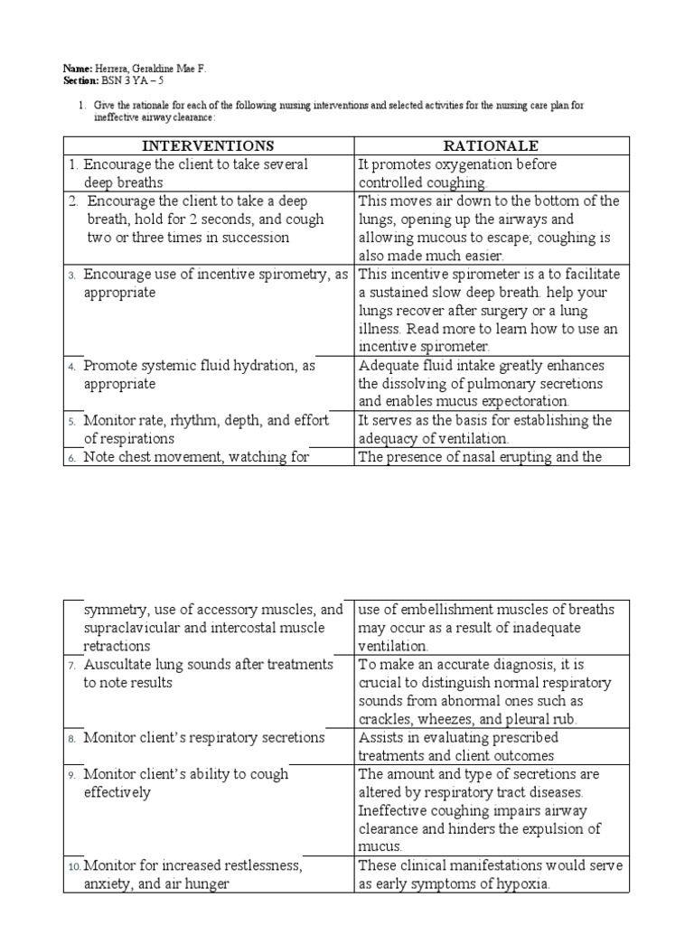 Course Task 3 | PDF | Breathing | Respiratory Tract