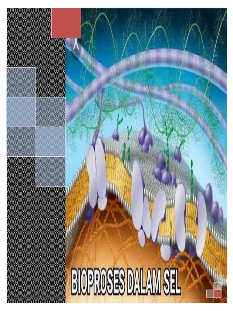 Bioproses Sel: Transpor dan Sintesis | PDF