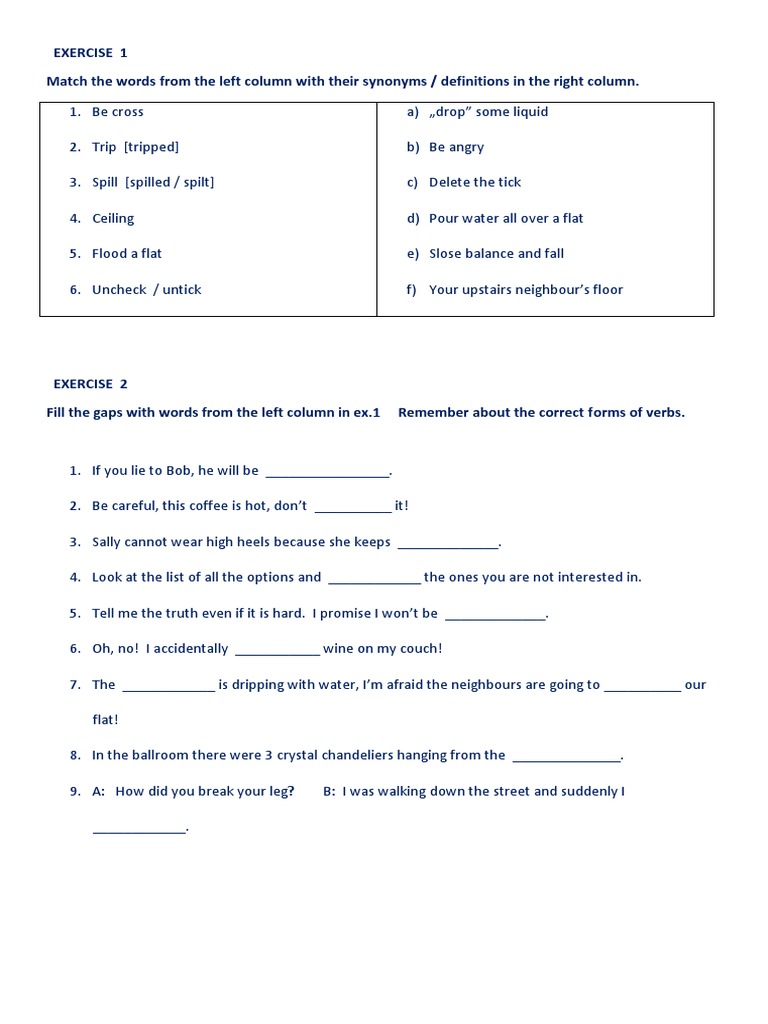 Vocabulary Synonyms Exercise | PDF