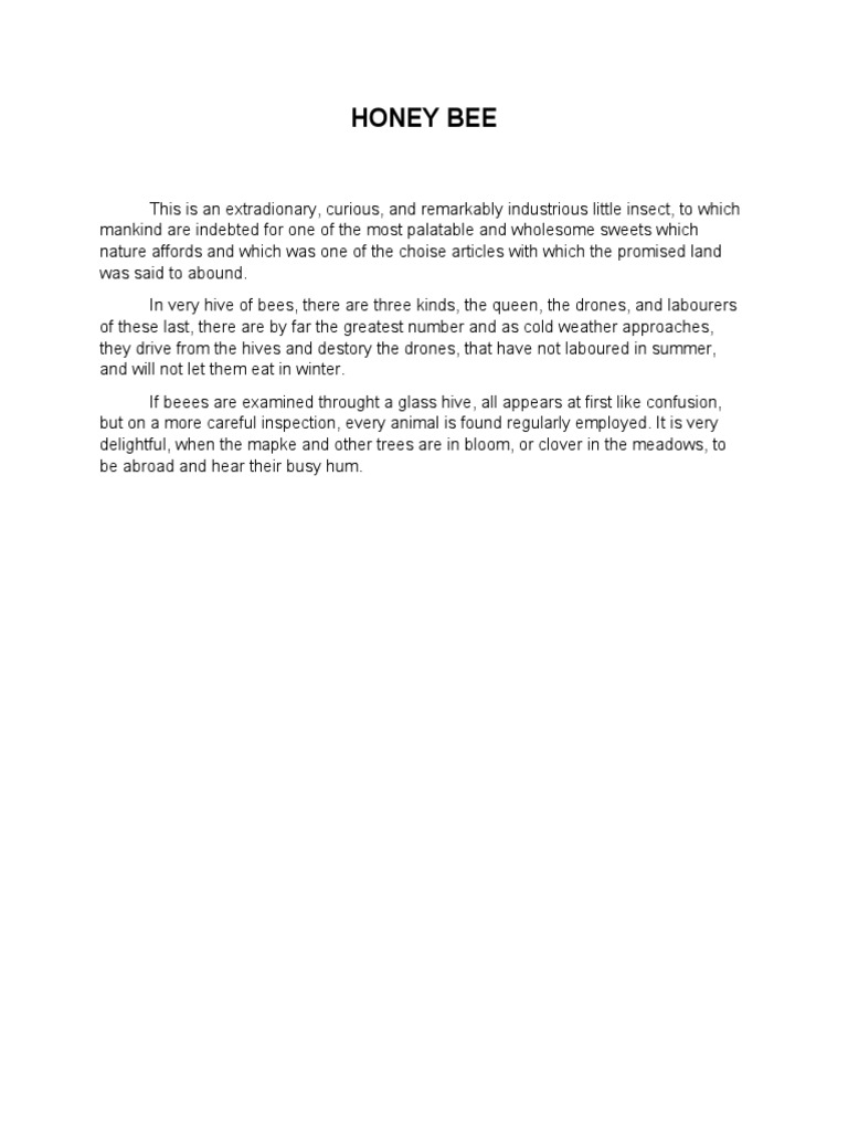 Discussion Text (B.ing Minat) - 1 | PDF | Felidae | Cats