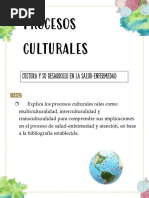 Definición de Prácticas Culturales | PDF | Antropología | Comunidad