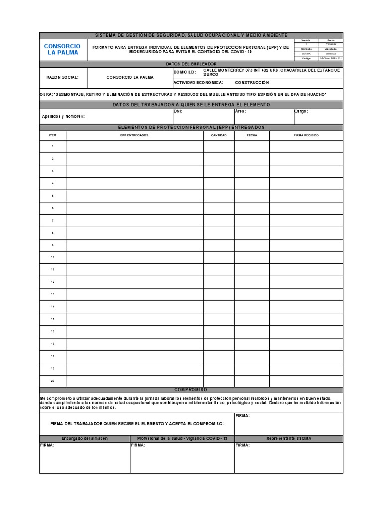 Formato-Para Entrega Individual de Elementos de Proteccion Personal (Epp) | PDF | Seguridad y ...