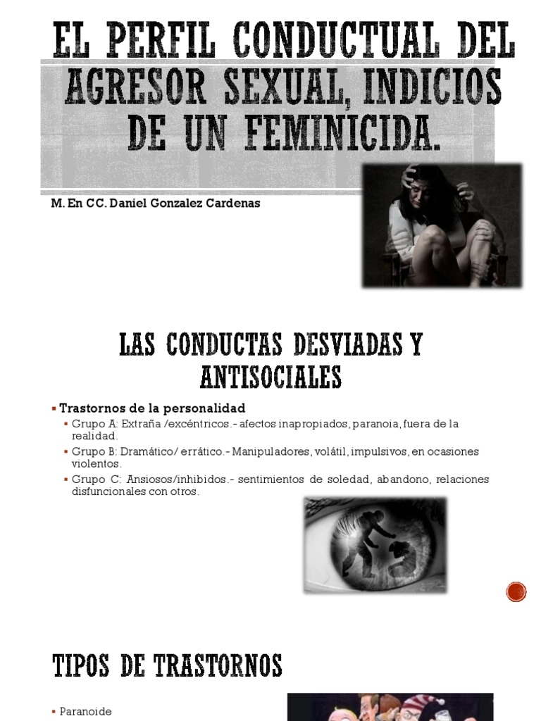 El Perfil Conductual Del Agresor Sexual Indicios Pdf Ira Las