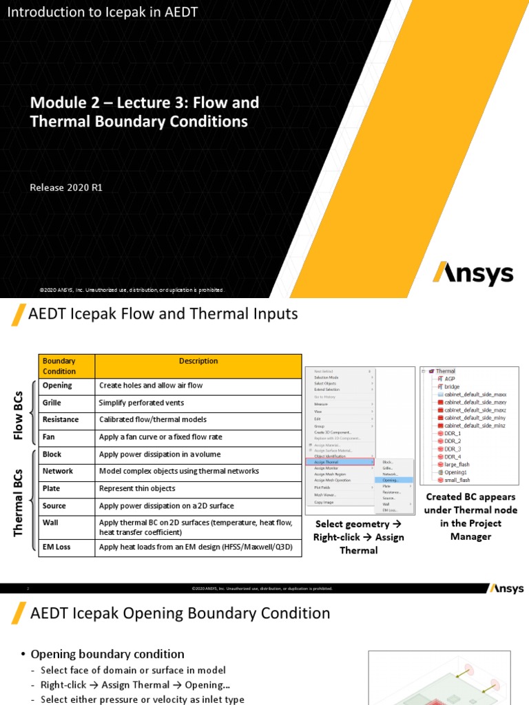 AEDT Icepak Int 2020R1 EN LE02.3 | PDF