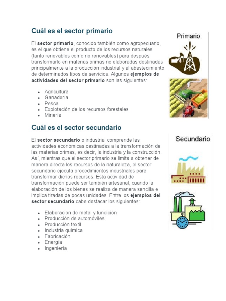 Cuál Es El Sector Primario | PDF | Economias