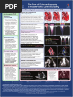 ASE Guidelines for Chamber Quantification | PDF | Ventricle (Heart ...