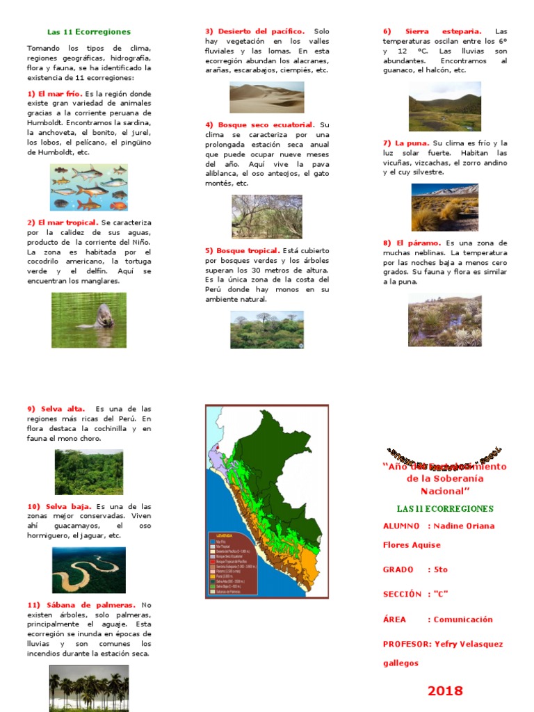 Triptico de Las Ecorregiones | PDF | Perú | Zona tropical