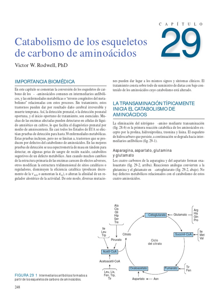 Cap 29 Catabolismo de Los Esqueletos de Carbono de Aminoácidos HARPER Bioquimica Ilustrada 28a ...