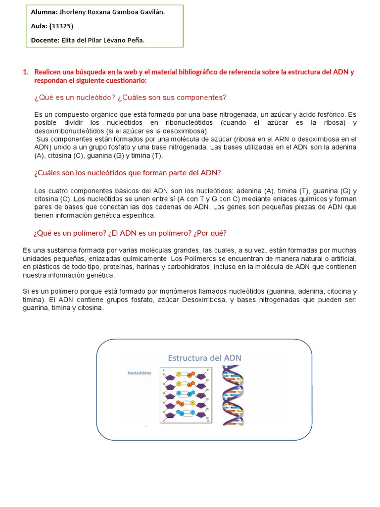 Bases Biologicas Tarea .ADN. | PDF | Adn | Rna