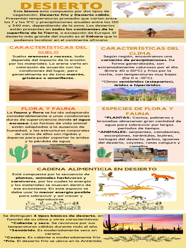 Infografia Desierto | PDF | Desierto | Sáhara