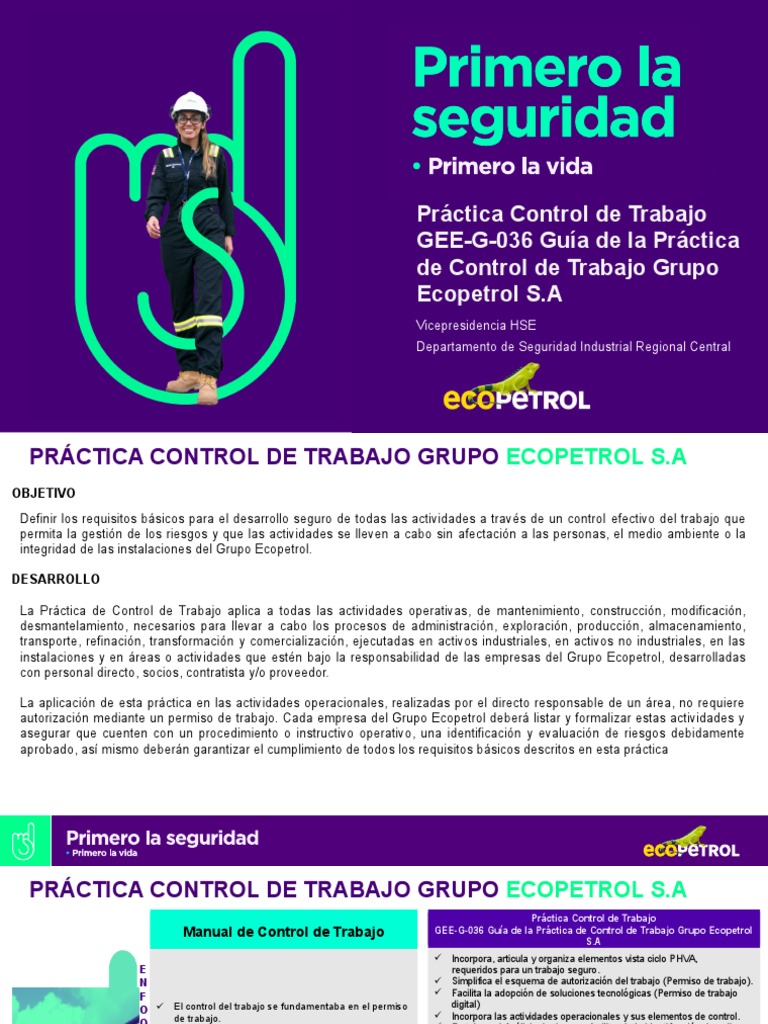 Resumen Guia Practica Control de Trabajo 2022 | PDF | Planificación