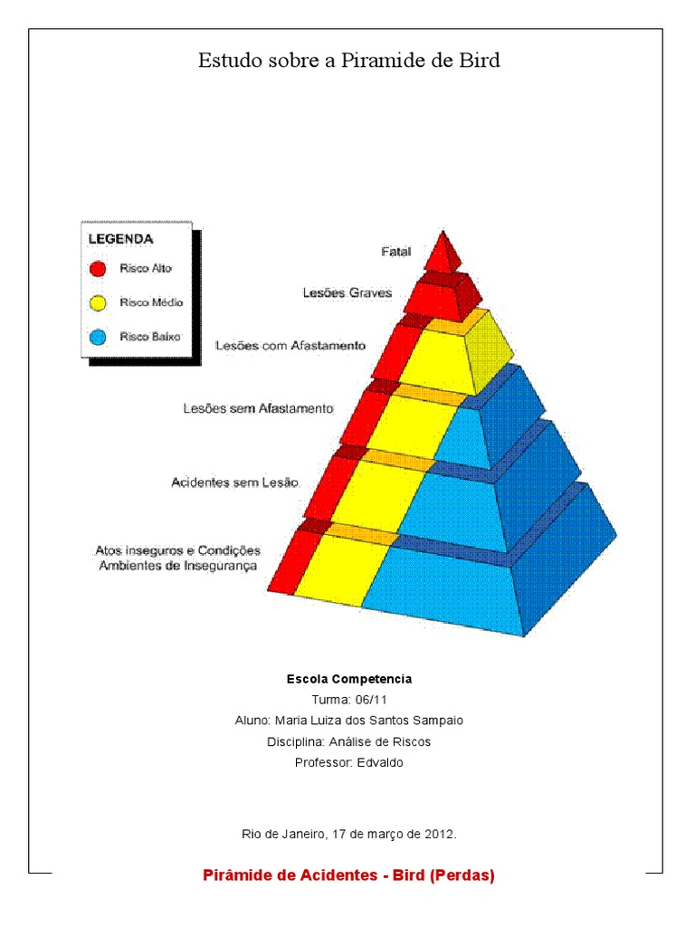NR 01 A Piramide de Bird | PDF | Brasil | Gestão de recursos humanos