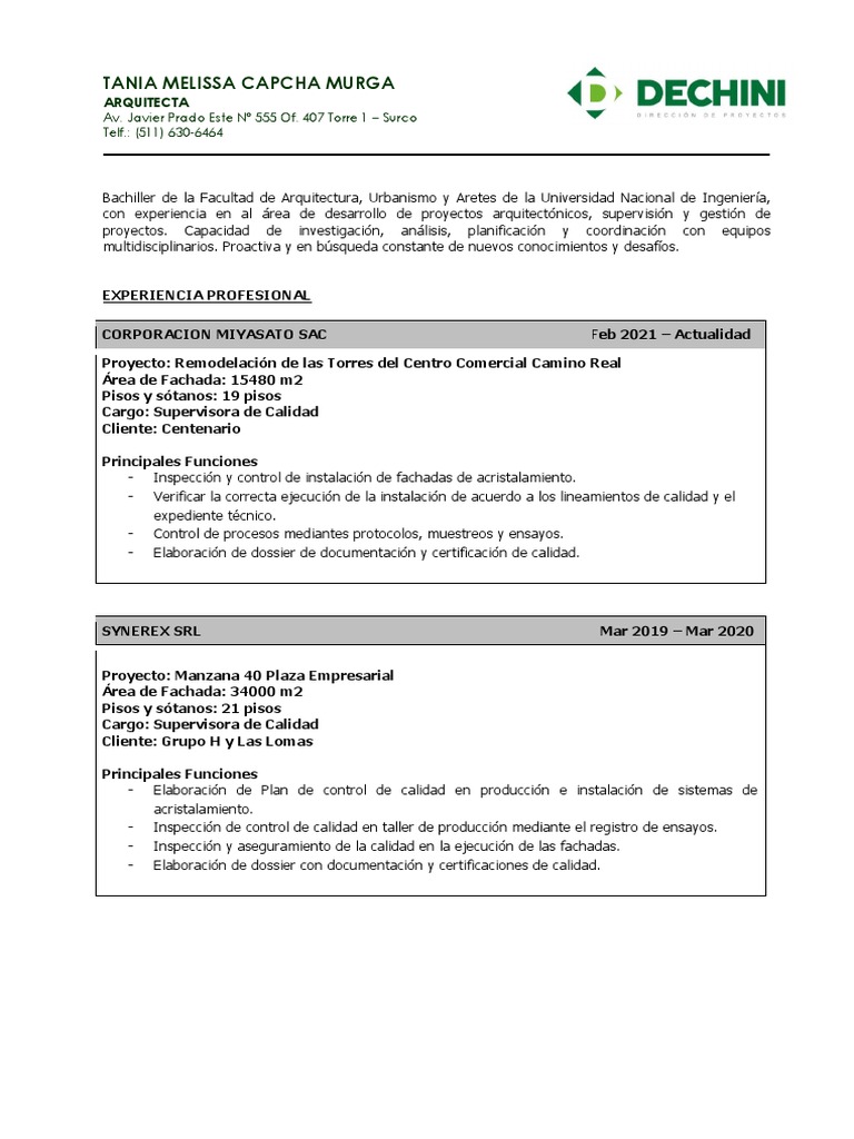 CV Dechini - Tania Capcha | PDF | Arquitecto | Ingeniería