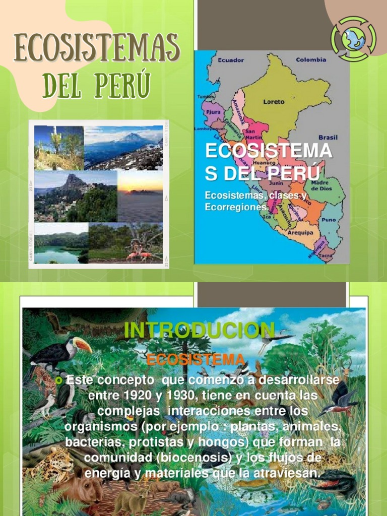 Ecosistemas Del Peru | PDF
