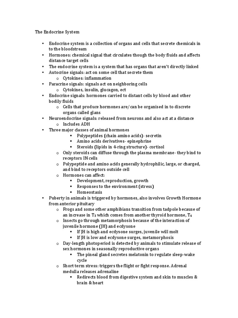 Review - Animal Endocrine System | PDF | Hormone | Endocrine System