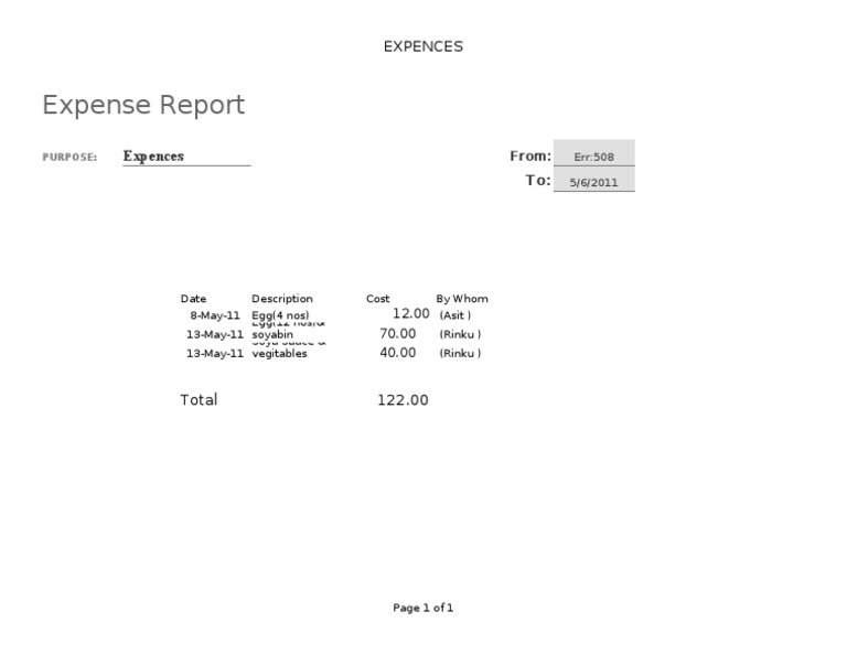 Expense Report | PDF