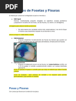 Tipos de Forceps y Elevadores | PDF | Odontología | Boca