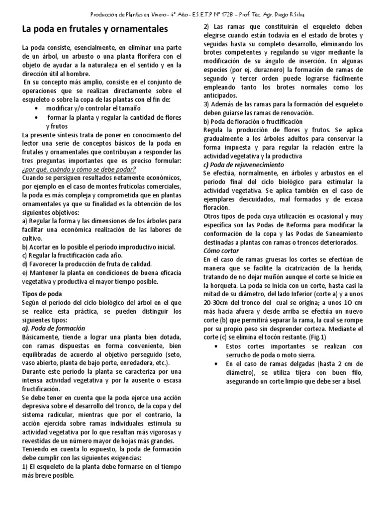 Poda | PDF | Arboles | Poda