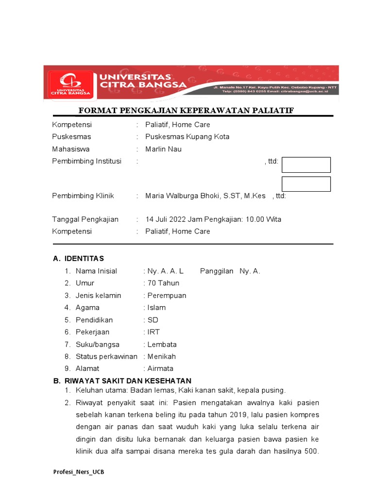 Pengkajian Keperawatan Paliatif DM | PDF