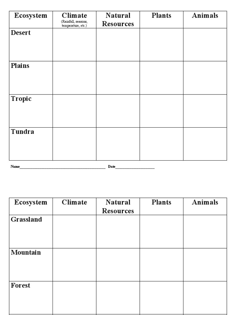 Ecosystem Graphic Organizer | PDF