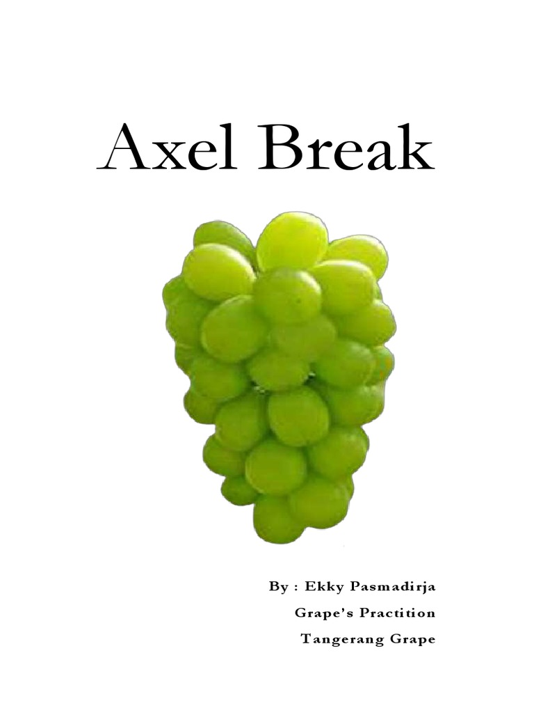 Axel Break | PDF