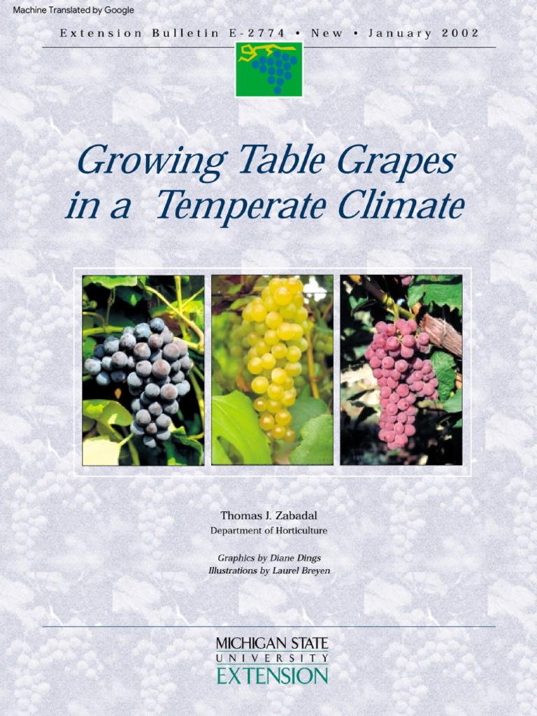 Growing Table Grapes in Bahasa | PDF