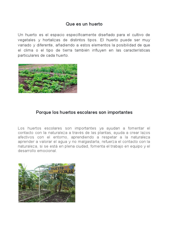 Que Es Un Huerto | PDF | Huerta | Plantas