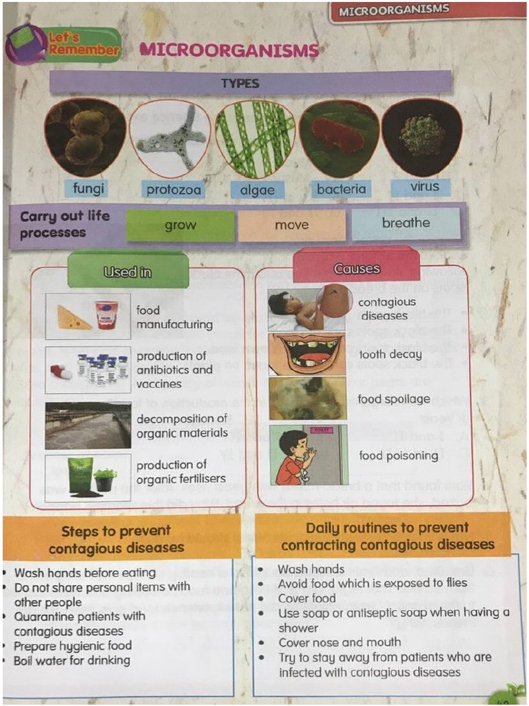 Nota Ringkas Microorganisms | PDF