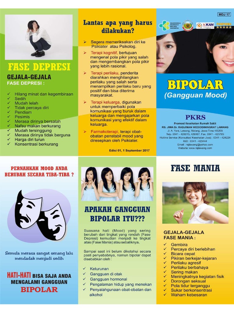 Leaflet Bipolar | PDF